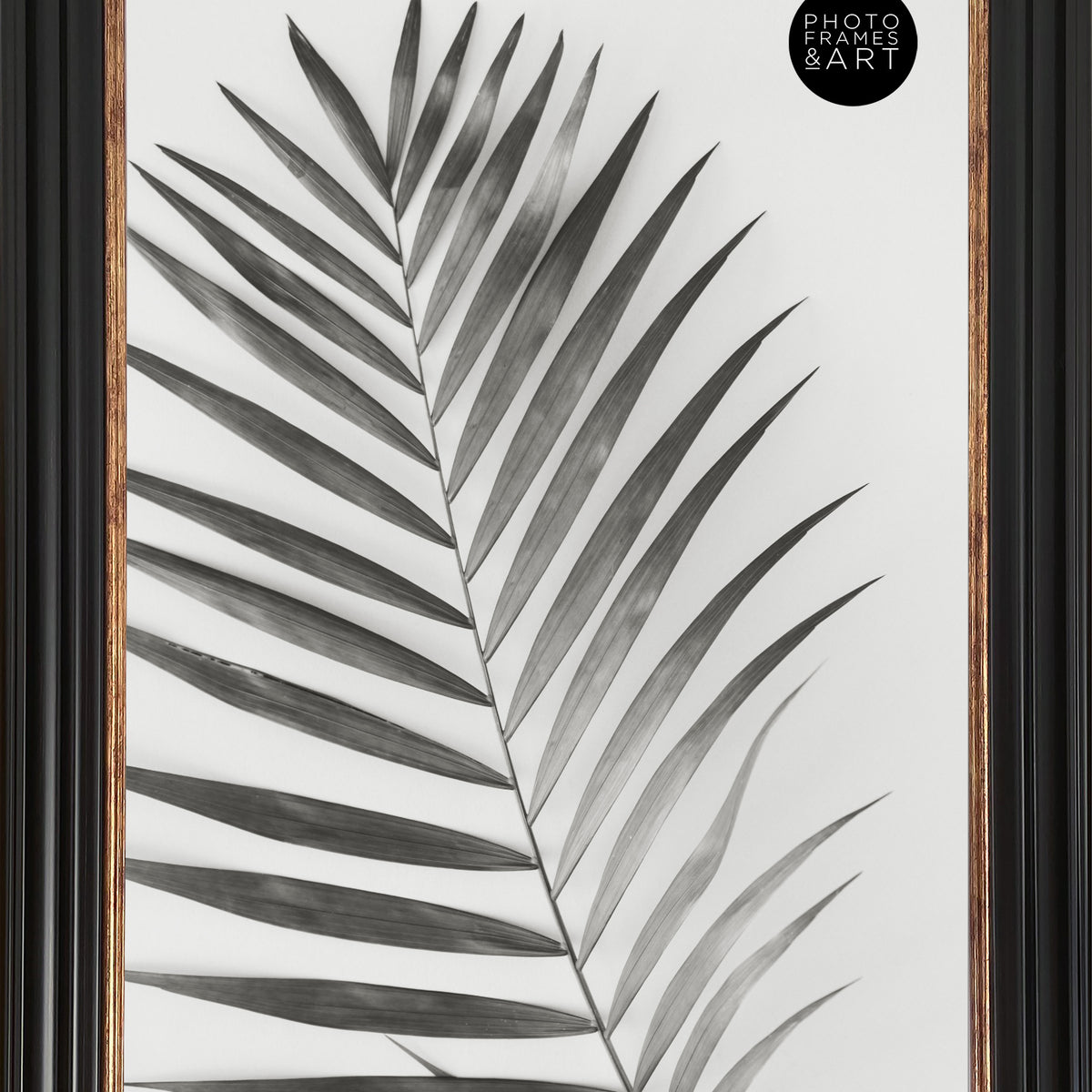 black poster frames a3