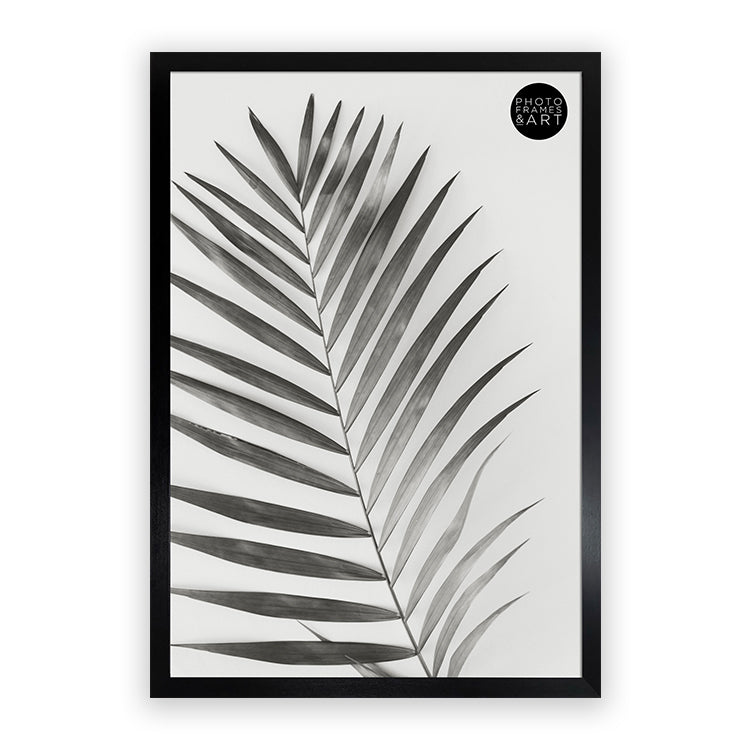 18x12" Poster Frame No Mount | Oxford Black – Photo Frames & Art